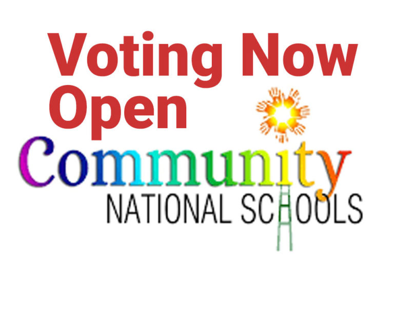 Voting Has Now Opened On Primary School Patronage - ddletb